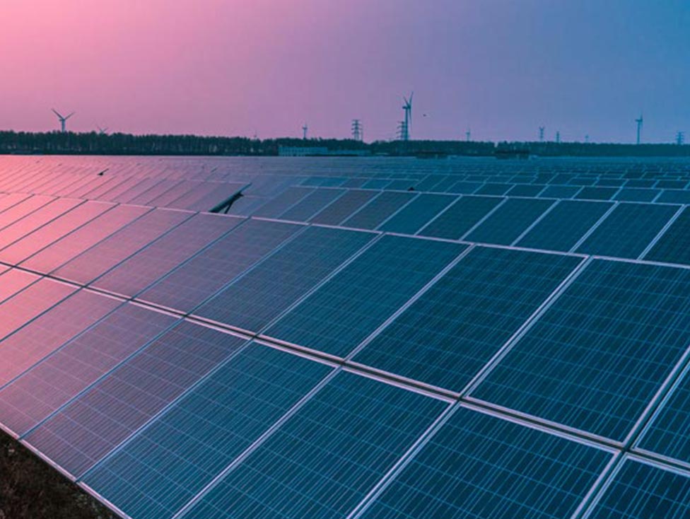 Net-Zero Transition: Opportunities for Vietnam | HSBC Vietnam